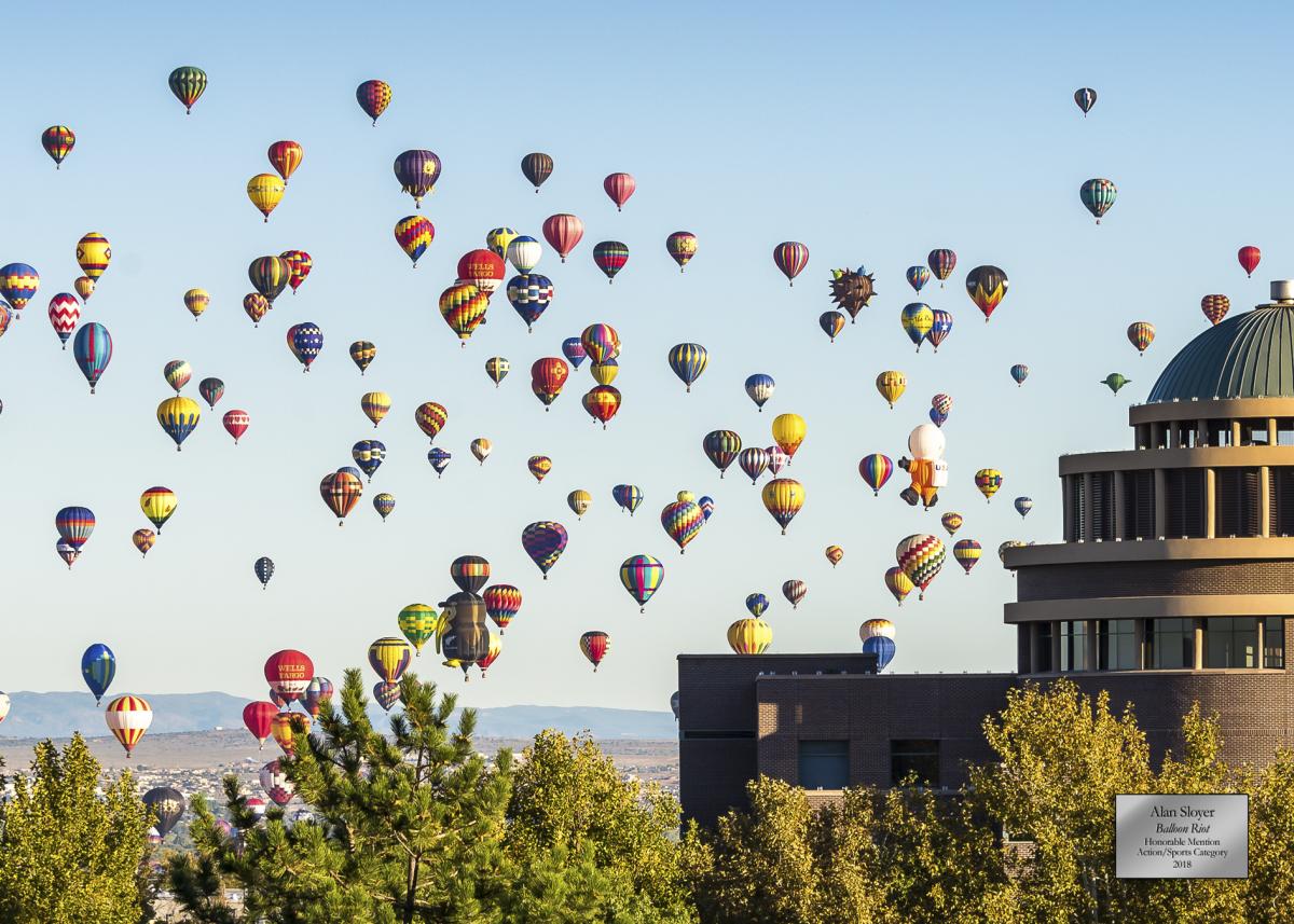 Annual Photo Contest | Gurwin Jewish